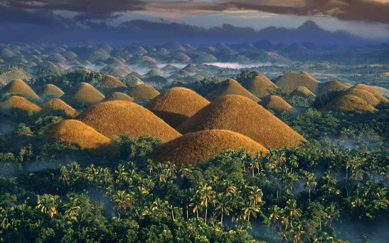 Region VII - Philtoa